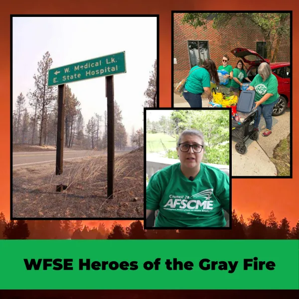 Heroes of the Gray Fire: WFSE Members Hold the Line | Washington ...